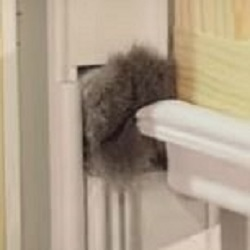 Check Rail Dust Pads for 200 Series Tilt-Wash Double-Hung Windows