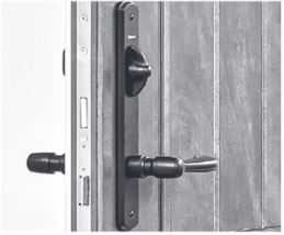 Renewal by Andersen Ensemble® Entry Door Painting and Staining