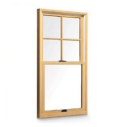 Andersen® Insert Windows