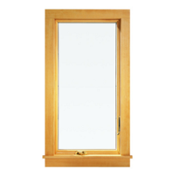 Andersen® Insert Windows