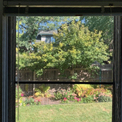 Insect Screen with Center Bar on 200 Series Perma-Shield® Narroline ...