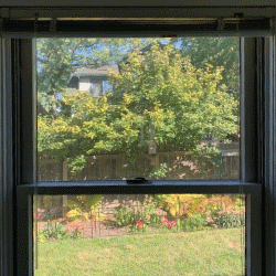 Insect Screen with Center Bar on 200 Series Perma-Shield® Narroline ...