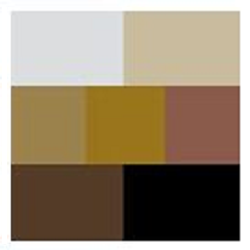 Interior and Exterior Colors and Color Sample Requests for E-Series ...